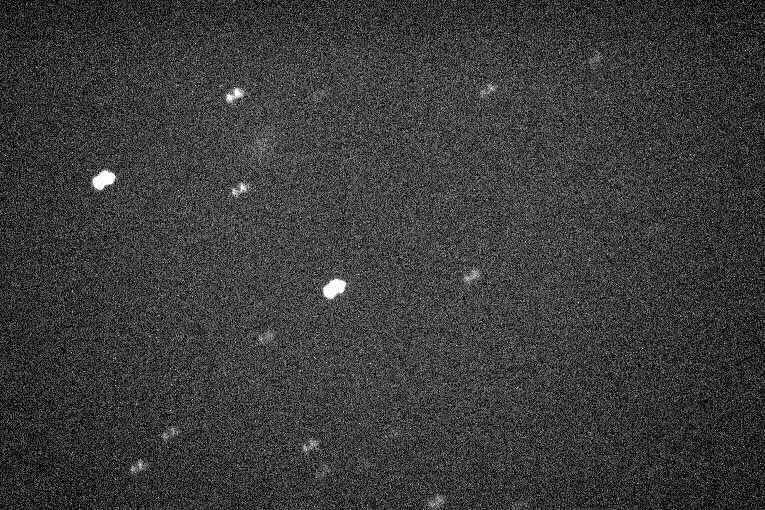 New General Catalog Pictures - Black and White